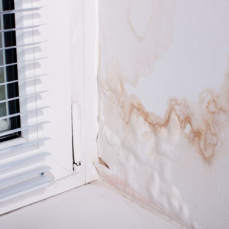 Damp, Mould & Condensation – PFH Pickering & Ferens Homes